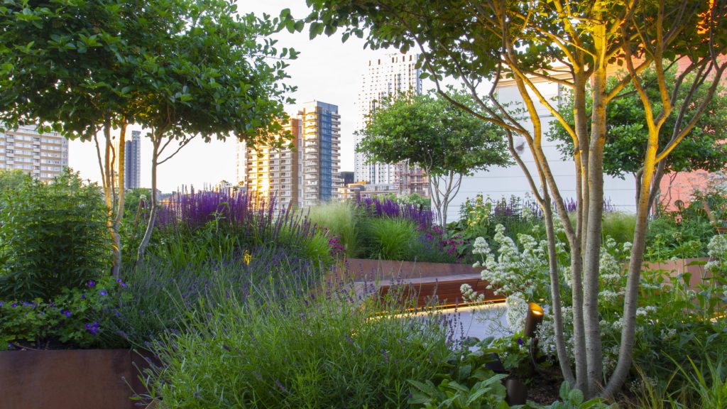 It's the Winner of Winners - John Davies Landscape
